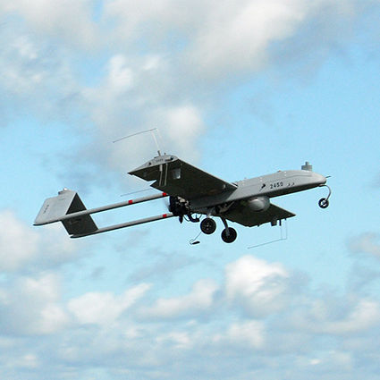 29inch Wood-Composite Propeller