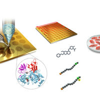 Scientific Figure & Schematic