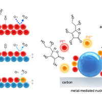 Scientific Figure & Schematic