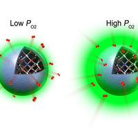 Scientific Figure & Schematic