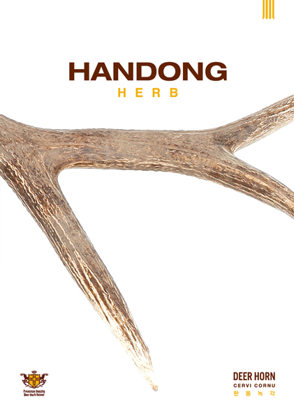한동허브 녹각 가이드북 : Handong Lab