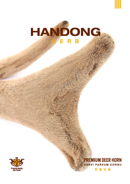 한동허브 프리미엄 녹용 가이드북 : Handong Lab