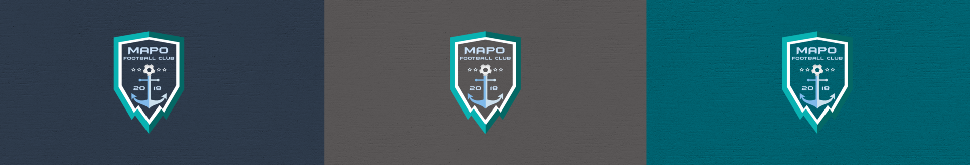 MAPO FC regular team