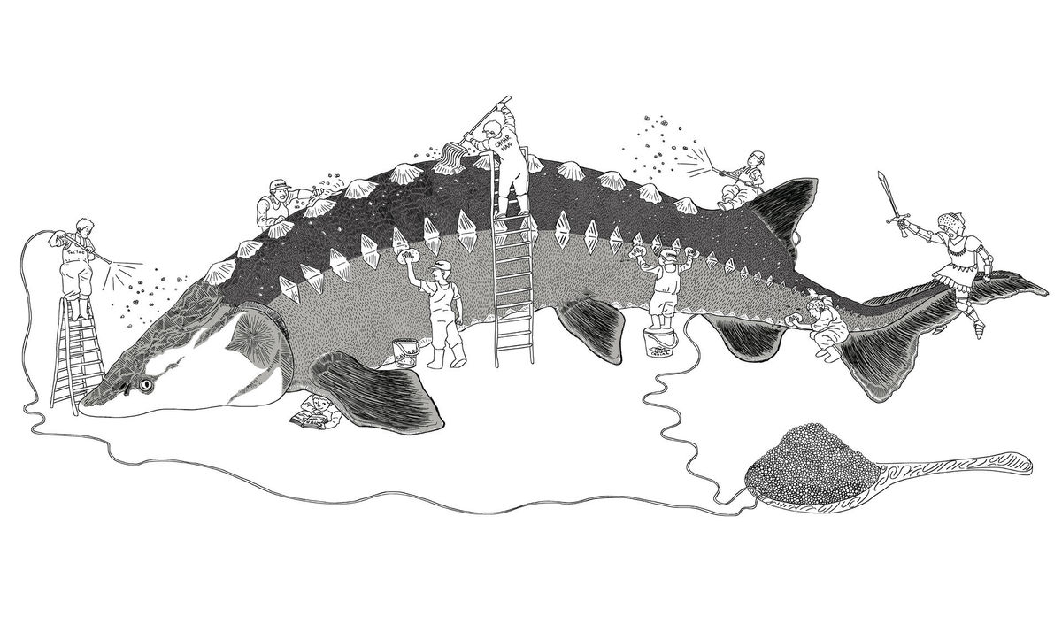 story of sturgeon : work