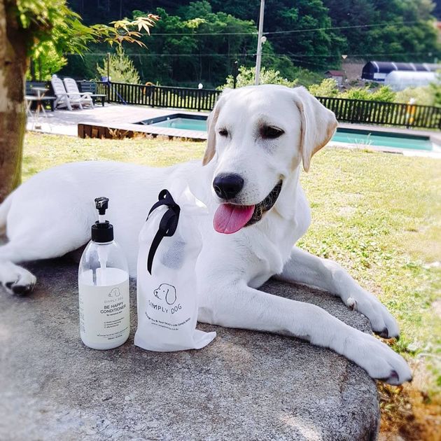 견생 샴푸 : SIMPLY DOG :: Premium Review