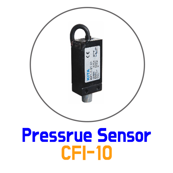 CFI10 CFI10-01 CFI10-02 CFI10-03 Pressure Sensor Pressure Switch 압력스위치 ...