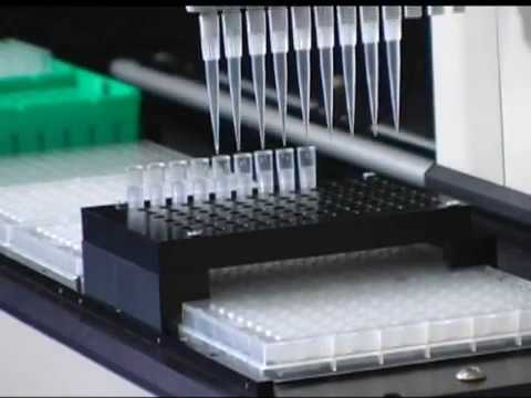 PhyNexus MEA Protein and Plasmid Purification_youtube : Flowbot ONE ...