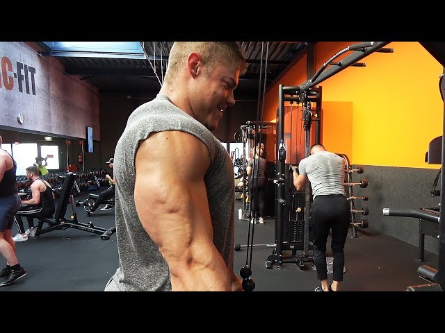 wesley vissers Triceps and Delts 어깨 & 삼두 : 프로 훈련법 - 제로투히어로