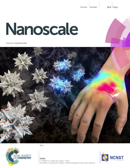 RSC_ Nanoscale : nanosphere.co.kr