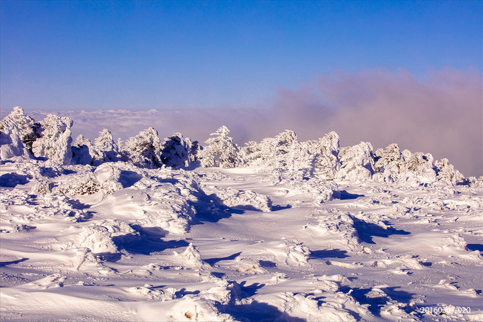 한라산 - 겨울 갤러리