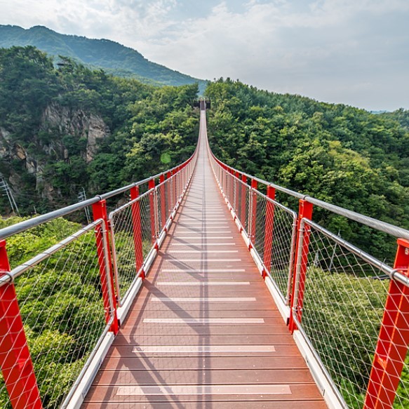 Best DMZ Tour from Seoul – Mt. Gamaksan or Lake Bridge