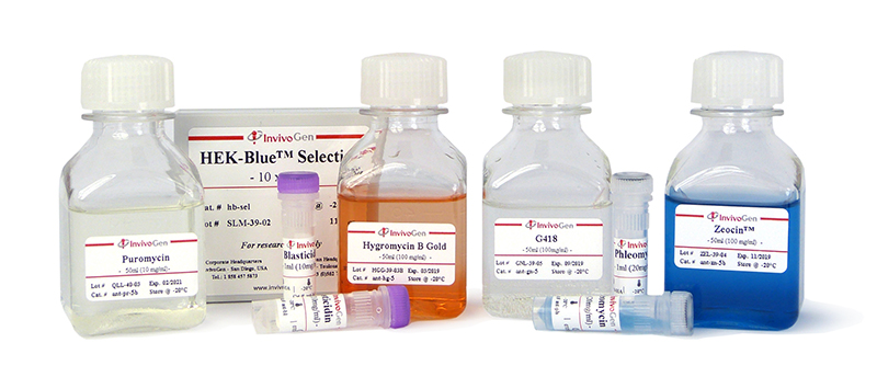 최고의 Selective antibiotics (선택적 항생제) : Invivogen 제품 소개