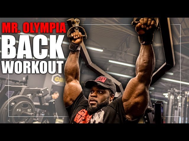 브랜든커리 존메도우스 등운동 Brandon curry John Meadows Back : 프로 훈련법 - 제로투히어로