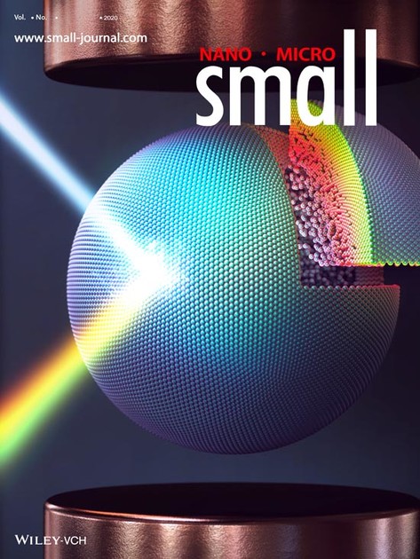 Wiley_Small : Publishing News