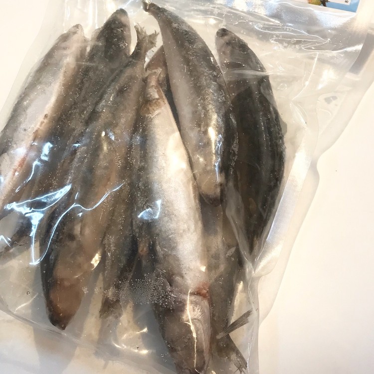 APT Frozen Round Scad Fish(Galunggong) 720g : bataviamart