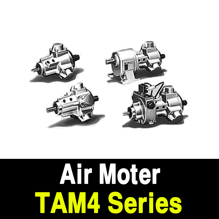 TAM4 TAM4-010 TAM4-015 TAM4-030 (TAM4010) (TAM4015) (TAM4030) Piston ...