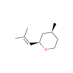 Rose Oxide : SHUAFㅣ슈아프 공식 홈페이지