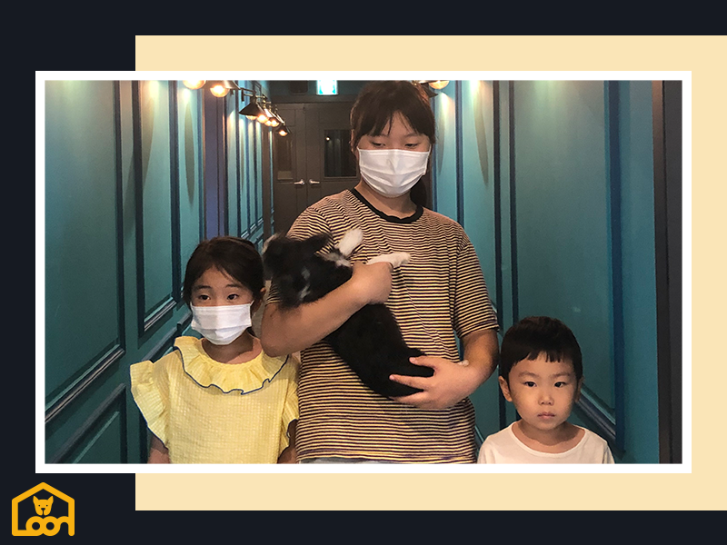 믹스견 책임분양 울산강아지분양 요크셔테리어분양가 새끼강아지분양 잉글리쉬불독 천안고양이분양 가정강아지분양 강아지입양 보더콜리 빅토리아펫보호소 입양완료