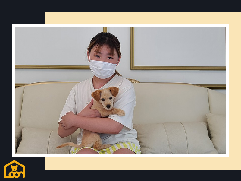 믹스견 별이 책임분양 코리안숏헤어 비숑프리제분양 치와와분양 고양이보호소 광주유기견보호센터 광주광역시유기견보호센터 유기견보호센터봉사 리트리버분양 빅토리아펫보호소 입양완료