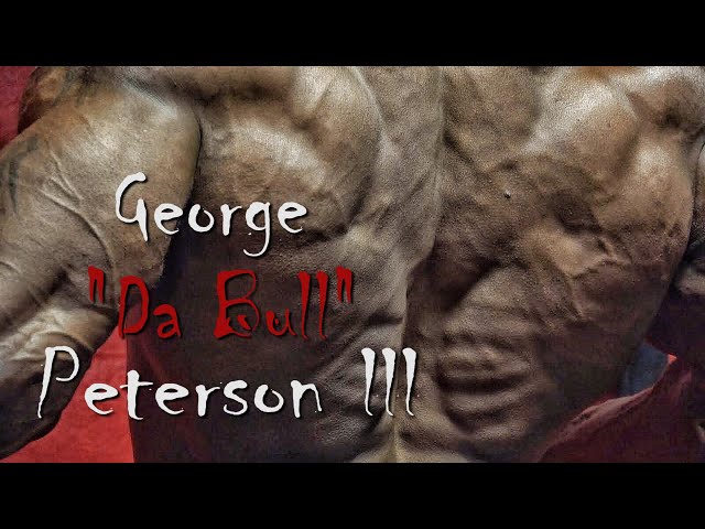 조지 피터슨 등 운동 George peterson back : 프로 훈련법 - 제로투히어로