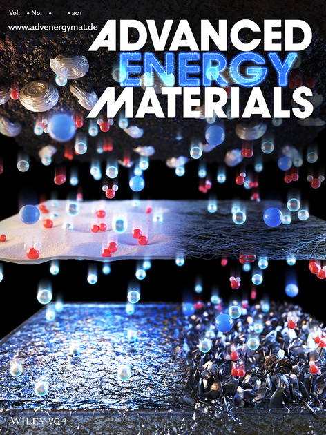 Lithium‐Oxygen Batteries: Optimized Bicompartment Two Solution Cells ...