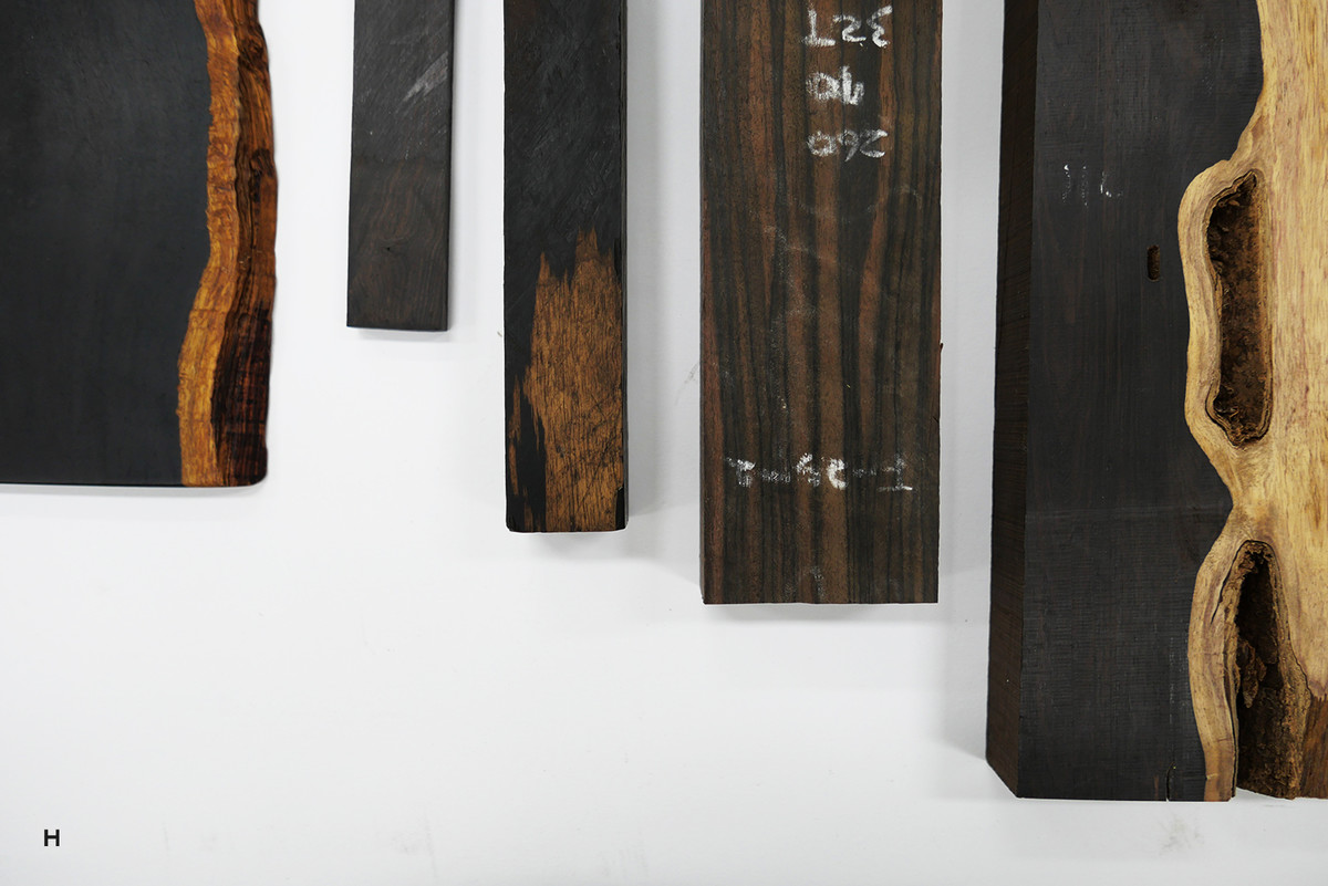 THE STORY OF MPINGO TREE : HORANG │ NEWS