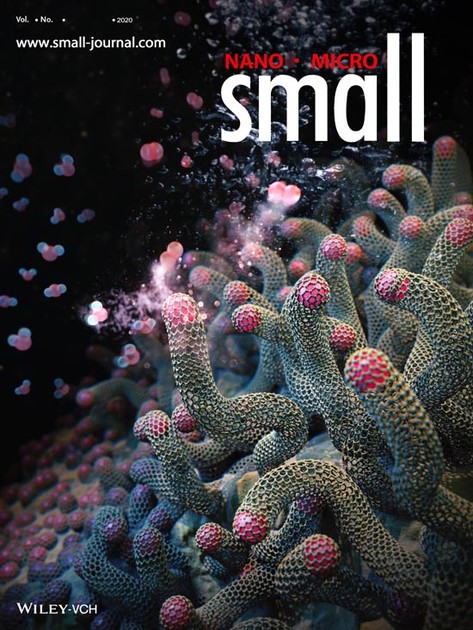 Wiley_Small : Publishing News
