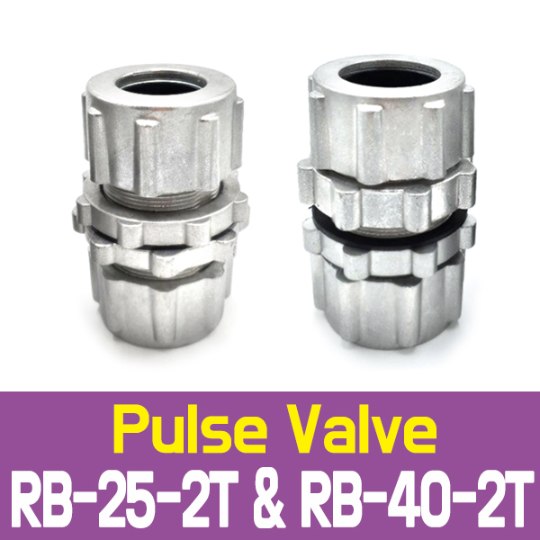 RB-25-2T RB-40-2T (RB25-2T, RB40-2T) RFS Pulse valve Connection ...