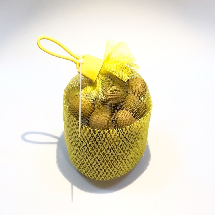 FROZEN LONGAN 300g : bataviamart