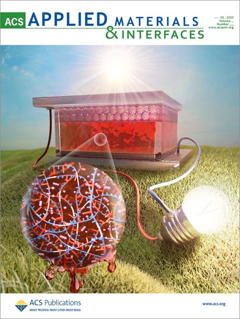ACS_Applied Materials & Interfaces : Publishing News