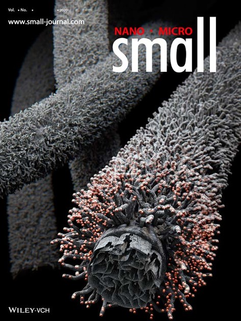 Wiley_Small : Publishing News