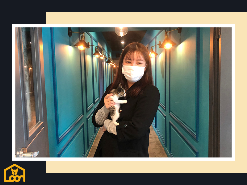 코리안숏헤어 책임분양 울산강아지분양 요크셔테리어분양가 새끼강아지분양 잉글리쉬불독 천안고양이분양 가정강아지분양 강아지입양 보더콜리 빅토리아펫보호소 입양완료