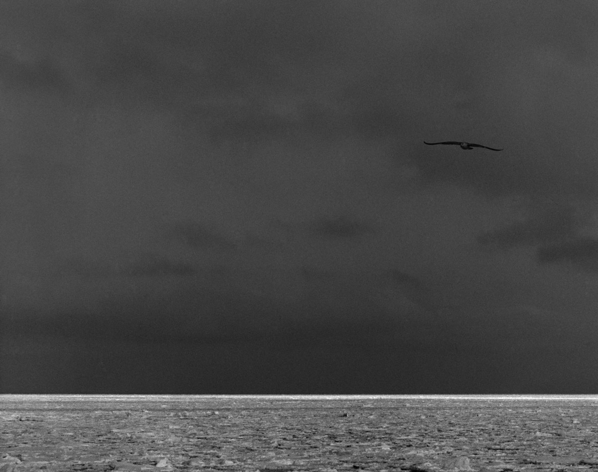 민병헌 Min Byung Hun : galleryNOW