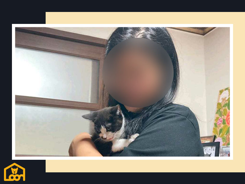 브리티쉬 혼종 책임분양 울산강아지분양 요크셔테리어분양가 새끼강아지분양 잉글리쉬불독 천안고양이분양 가정강아지분양 강아지입양 보더콜리 빅토리아펫보호소 입양완료