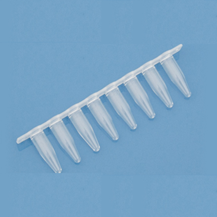 PCR Strips : CHEMCOKOREA 켐코코리아