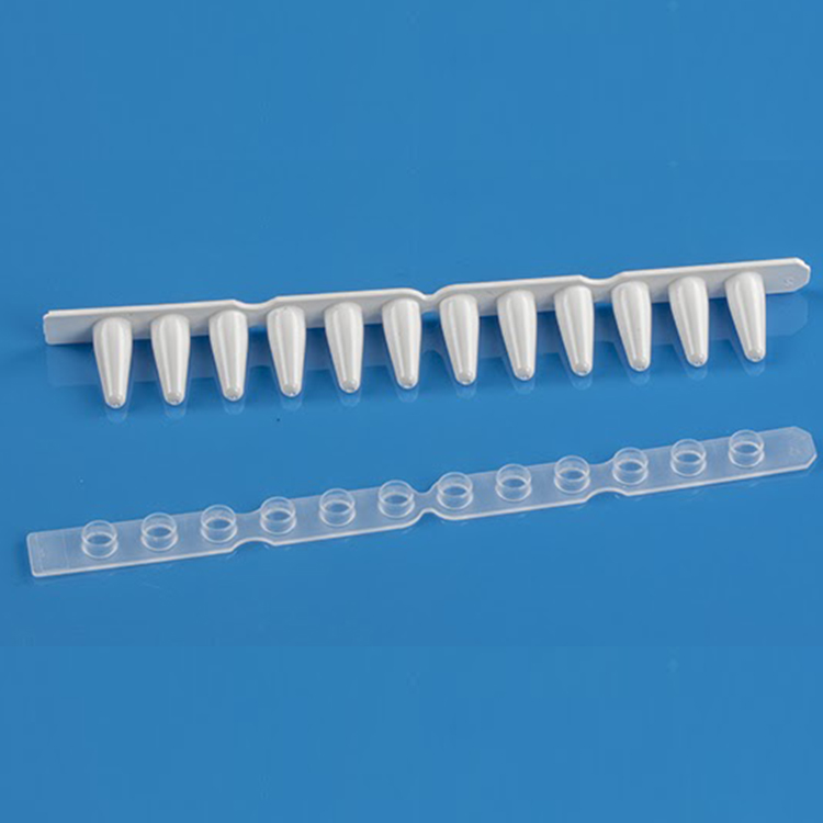 PCR Strips : CHEMCOKOREA 켐코코리아