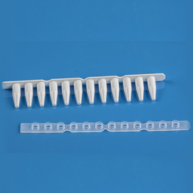 PCR Strips : CHEMCOKOREA 켐코코리아