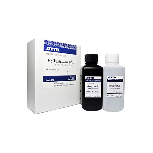 Western Blotting - HRP 용 고감도 ECL Solution : ATTO 제품 소개