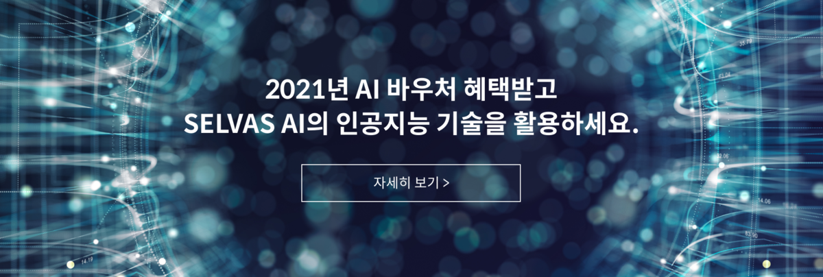 AI바우처로 인공지능솔루션을 지원받으세요. : SELVAS AI