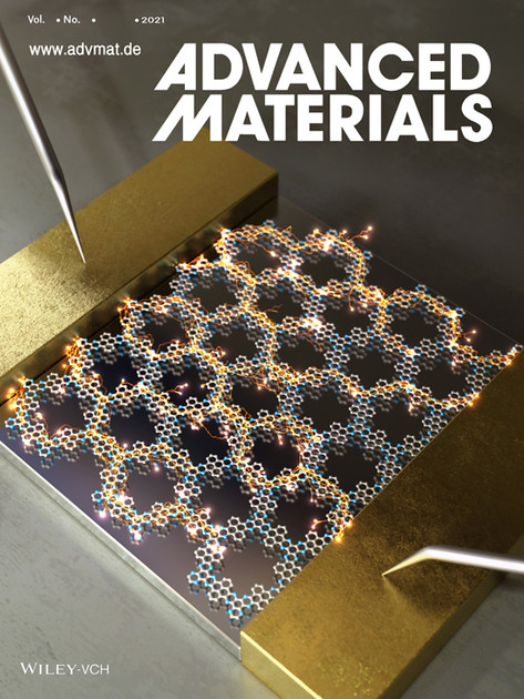 Wiley_ADVANCED MATERIALS : nanosphere.co.kr