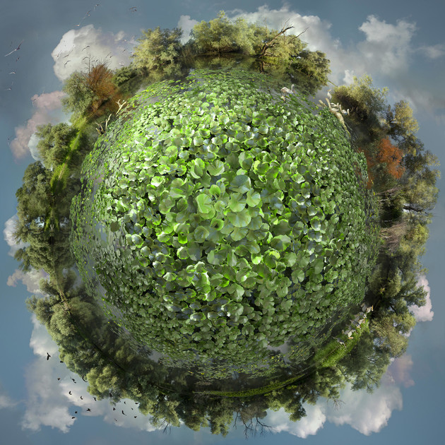 Catherine Nelson : galleryNOW