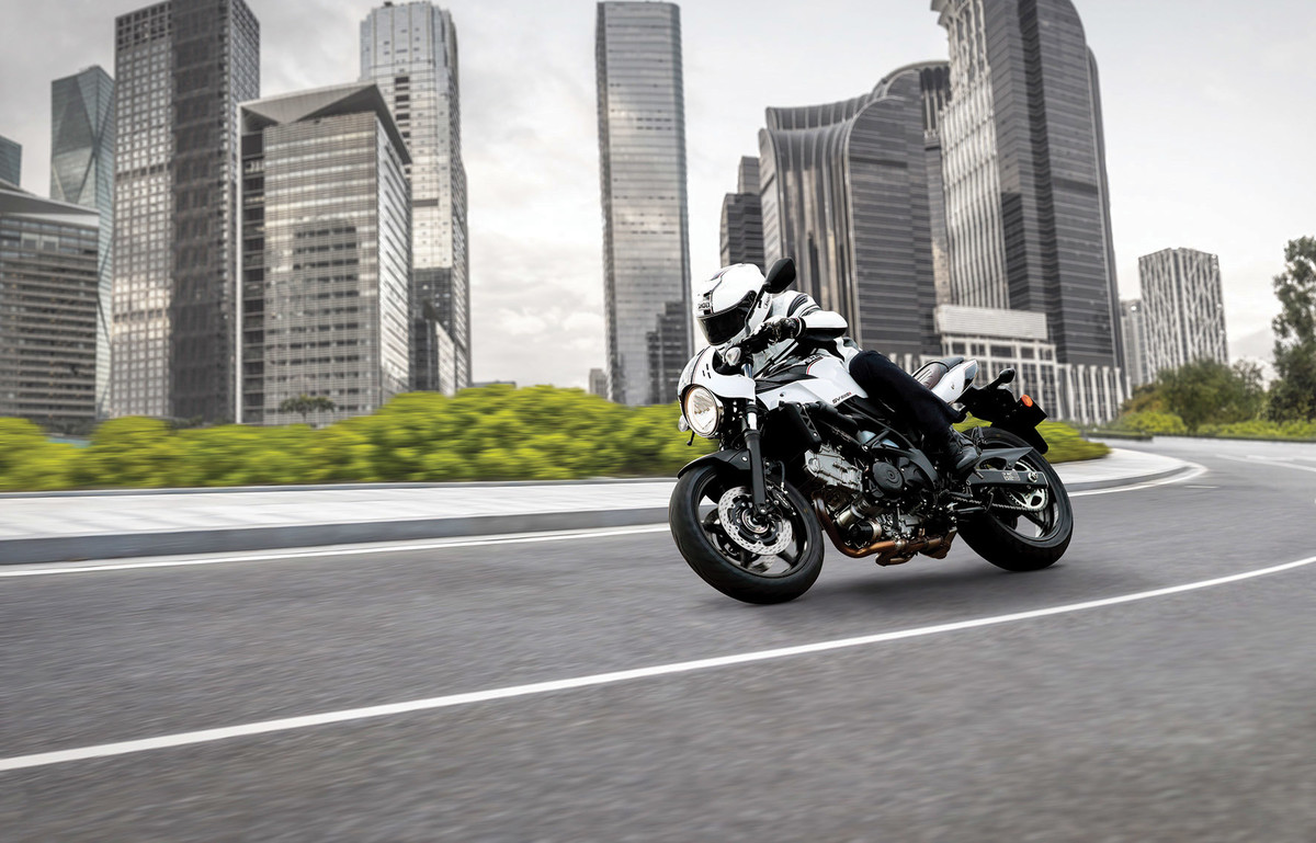 스즈키, 2019년형 SV650 ABS·SV650X ABS : 한국이륜차신문