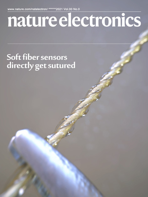 nature electronics : Publishing News