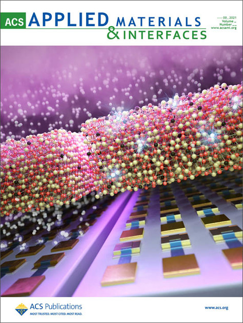 ACS_Applied Materials & Interfaces : Publishing News