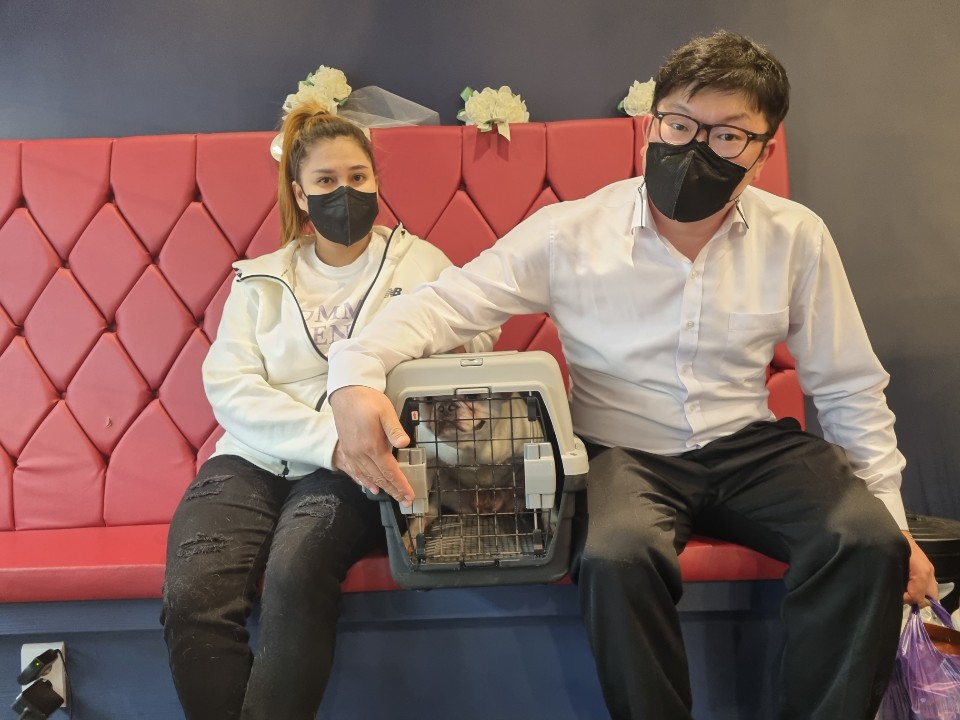 울산 2021 0024 프렌치불독 우리 책임분양 애완견성격 반려견성격 소형견크기 중형견크기 미니비숑프리제크기 토이푸들크기 골든리트리버크기 래브라도리트리버크기 닥스훈트크기