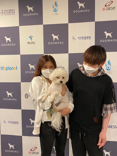 창원 2021 0057 비숑프리제 봄이 책임분양 사모예드책임분양 스피츠책임분양 시바견책임분양 시베리안허스키책임분양 시츄책임분양 요크셔테리어책임분양 웰시코기책임분양