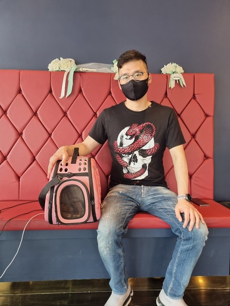 울산 2021 0075 폴드 로이 책임분양 강아지책임분양 고양이책임분양 유기견책임분양 유기묘책임분양 연예인강아지분양하는곳 연예인고양이분양하는곳 골댕이무료분양 강아지입양