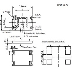 Two-Tone Photodiode : 코어레이 l CoreRay Laser Total Solution