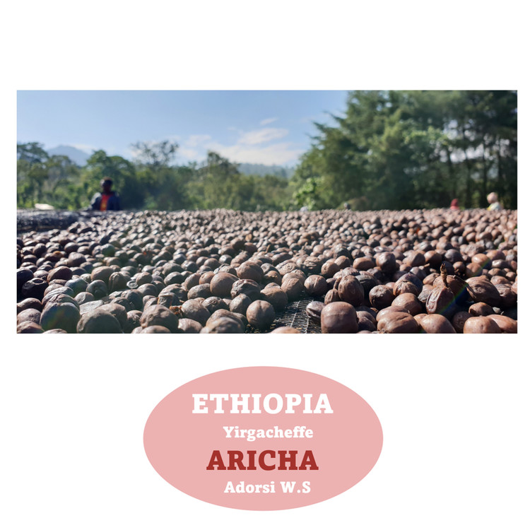 [원두 커피] 에티오피아 예가체프 아리차 G1 네추럴 Aricha Coffee 200g : 카페 앰핑