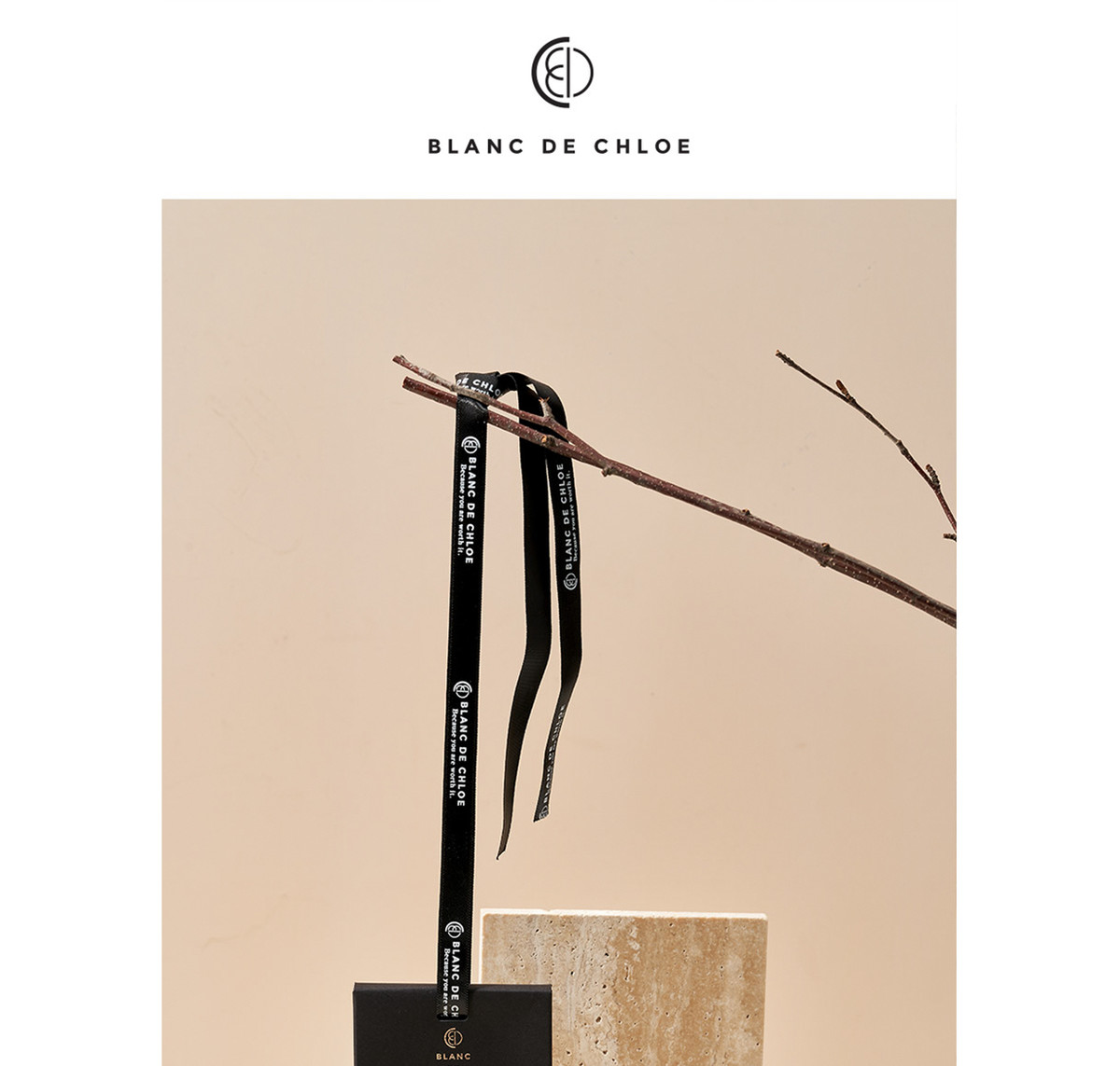 상세페이지 제작 BLAND DE CHLOE : page